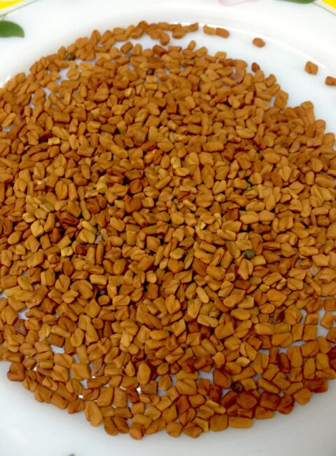 All About Marjoram | Know Your Fine Spice Marwa, Maggiorana