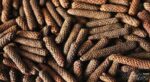 All About Long Pepper | Know Your Fine Spice Pipli, Pippali